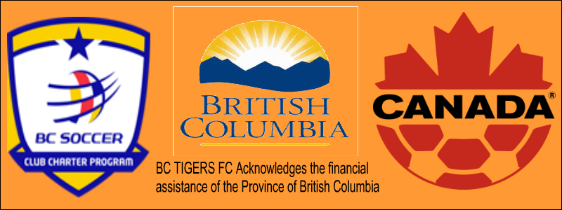 BC Soccer Registration Form - BC Tigers